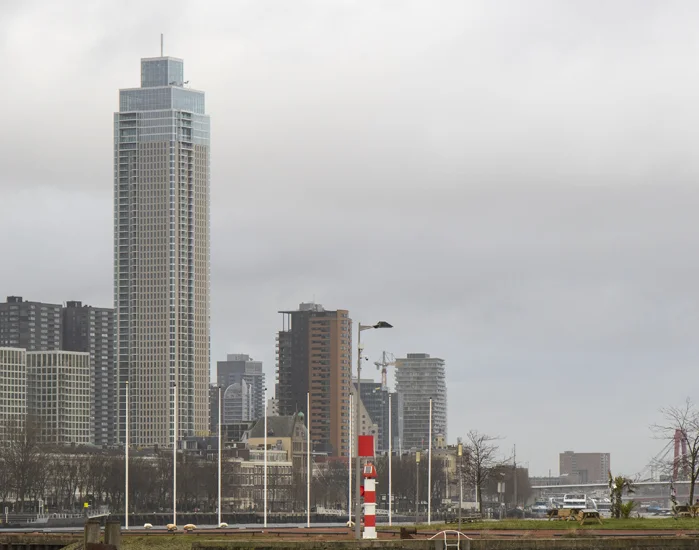 De Zalmhaven en Rotterdam