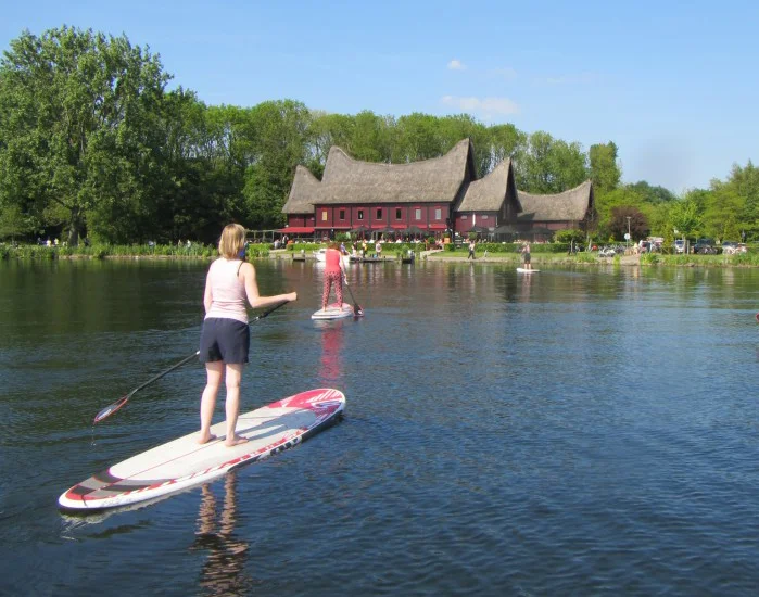 Actividades para hacer en Rotterdam